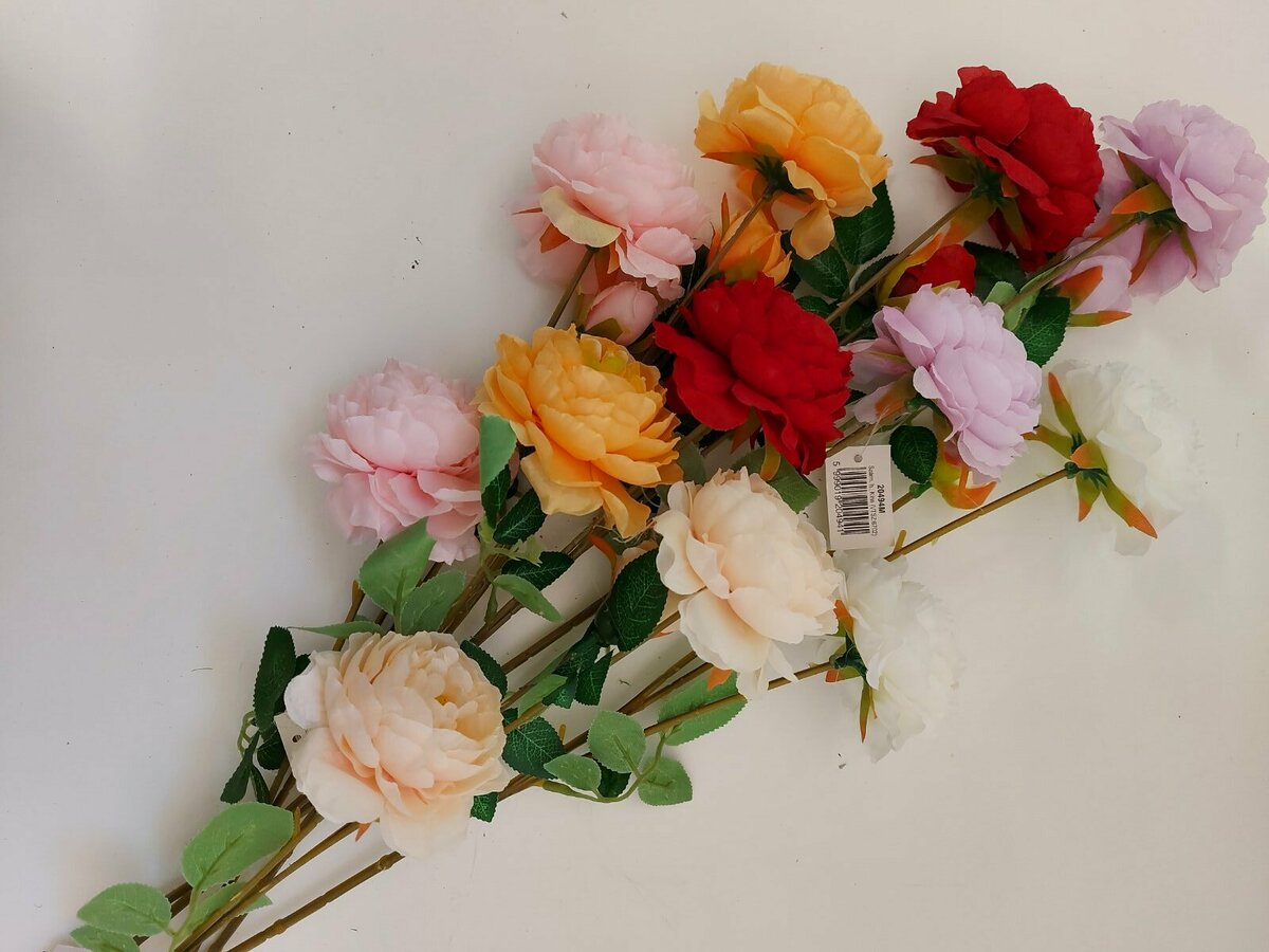 Boglárka ÁG – Twid